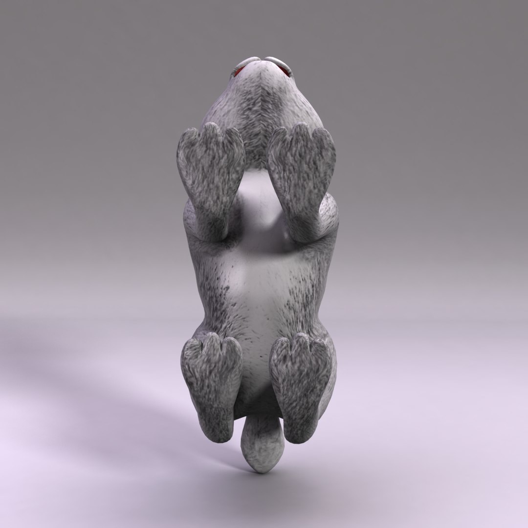 3d Model Of Cartoon Rabbit