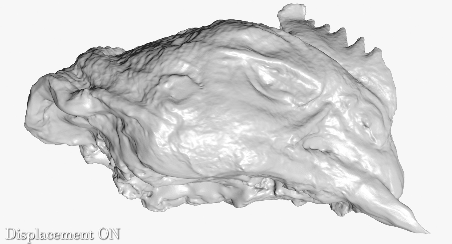 Dead Chicken Head 3d Max