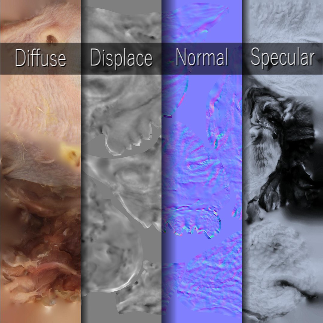 Dead Chicken Head 3d Max