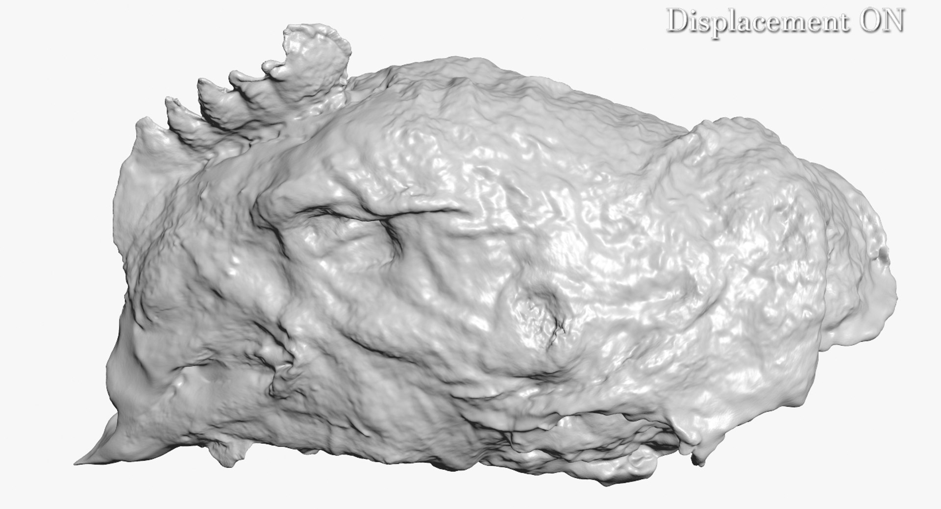 Dead Chicken Head 3d Max
