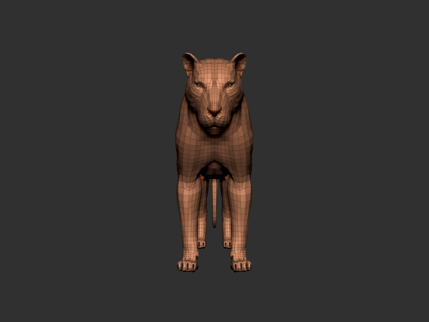 3D Model Lion Anatomy Muscles Skeleton Animal - TurboSquid 1372745