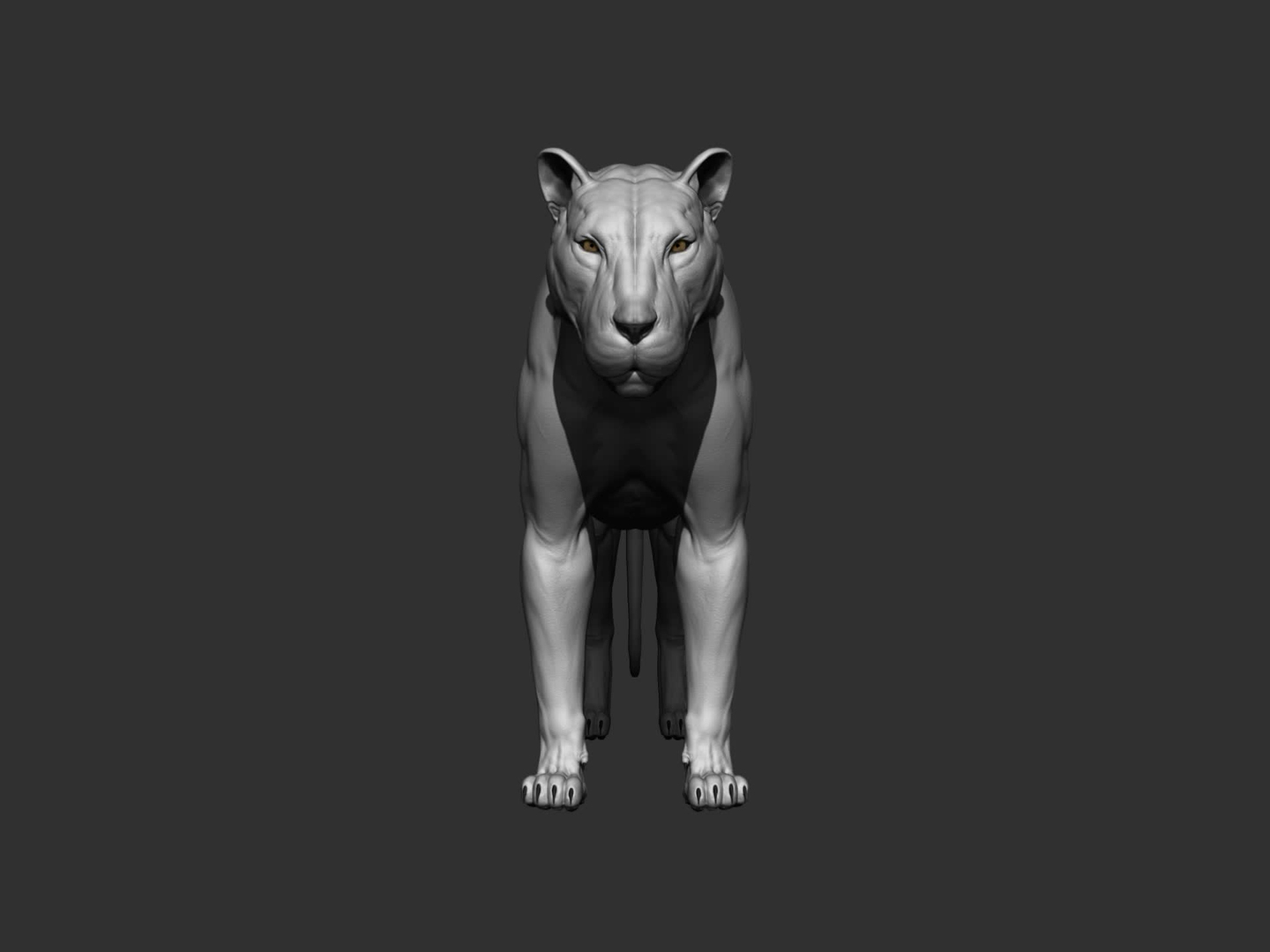 3D Model Lion Anatomy Muscles Skeleton Animal - TurboSquid 1372745