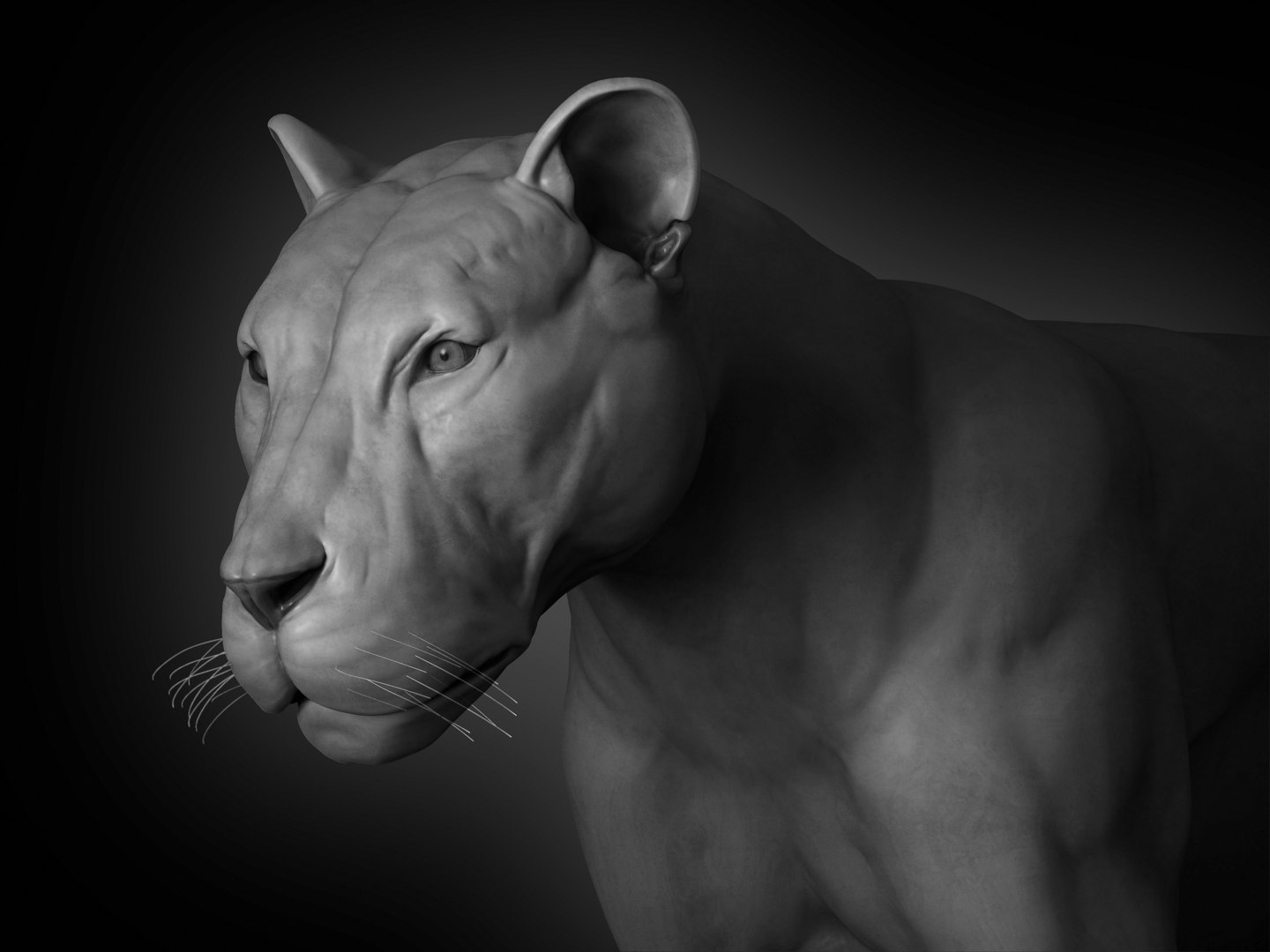 3D Model Lion Anatomy Muscles Skeleton Animal - TurboSquid 1372745
