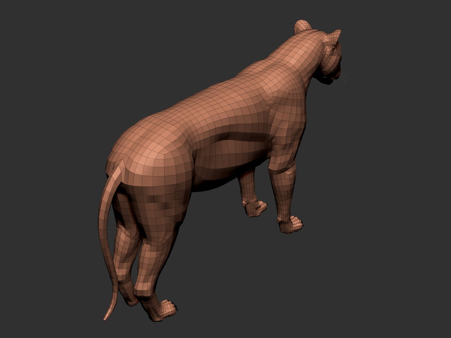 3D Model Lion Anatomy Muscles Skeleton Animal - TurboSquid 1372745