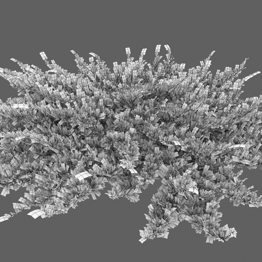 Juniper Bushes 2 Juniperus 3D Model - TurboSquid 1527594