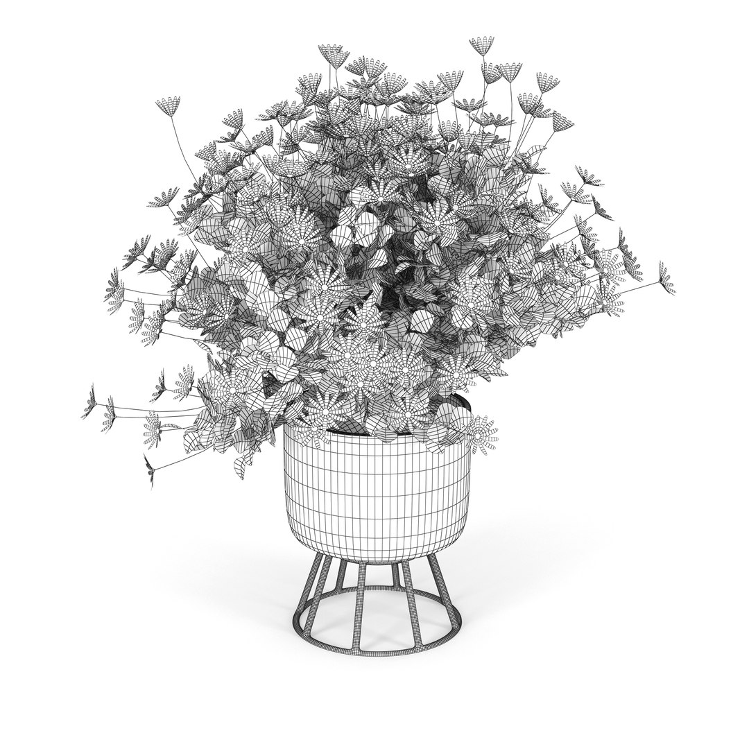 Chamomile 3D Model - TurboSquid 1277571