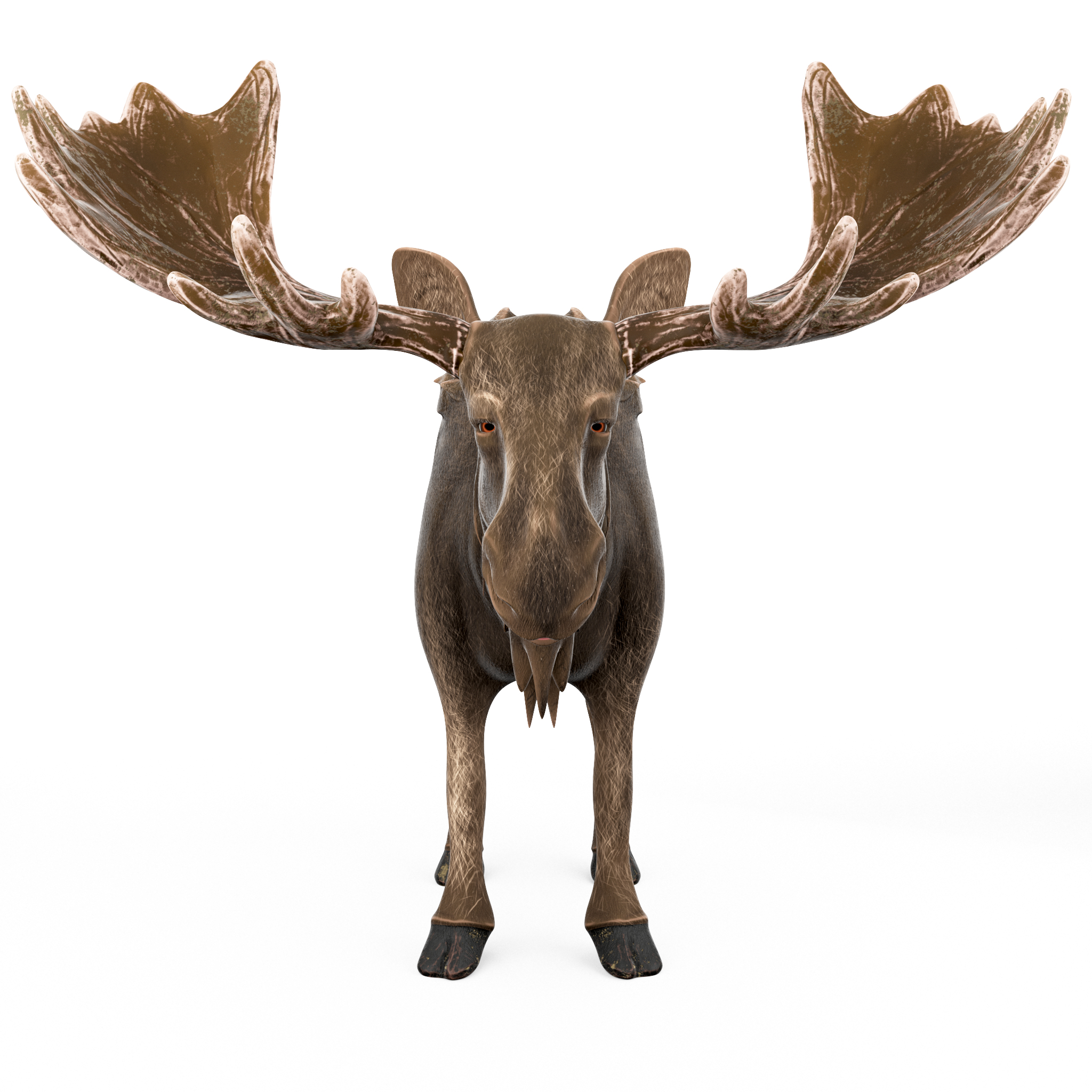 3D moose cartoon model - TurboSquid 1658119