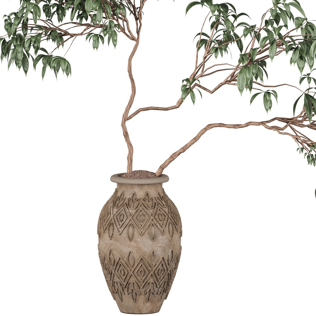 3D Tree In Clay Pot Model - TurboSquid 2286357