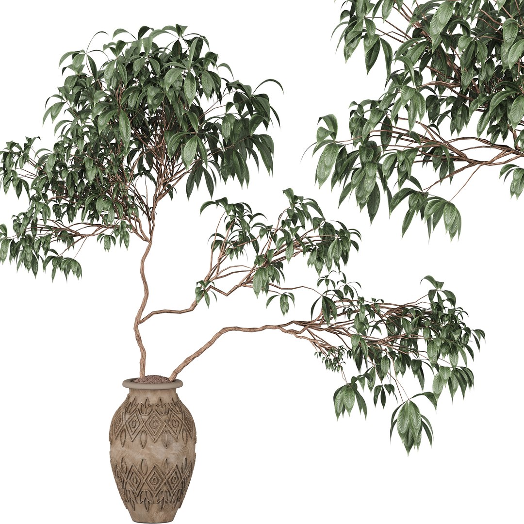 3D Tree In Clay Pot Model - TurboSquid 2286357