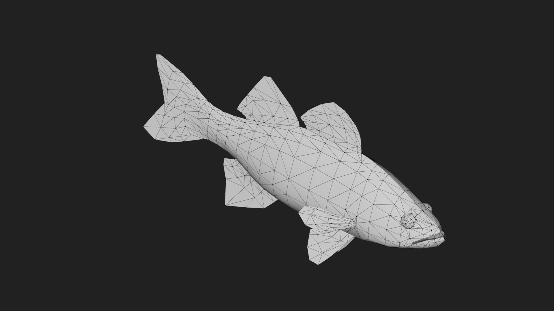 Bass Fish 3D Model - TurboSquid 2123095