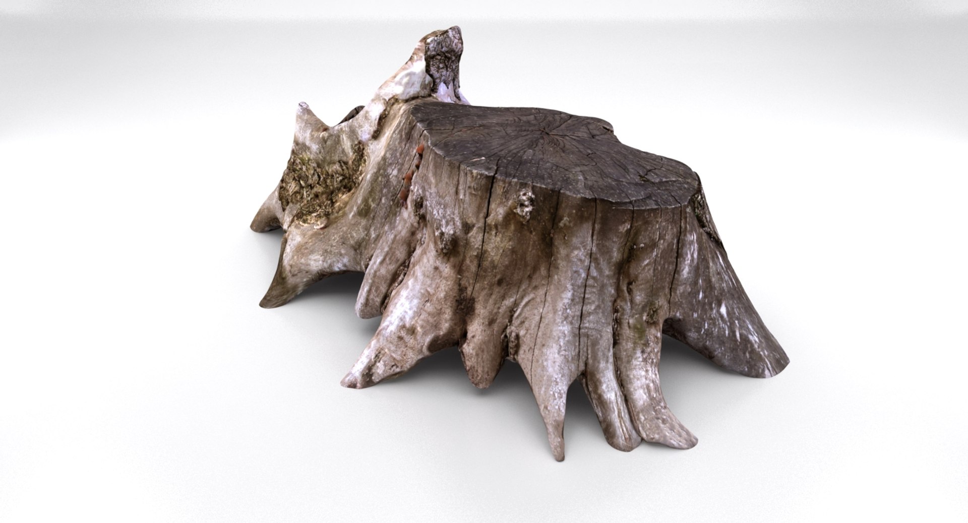 3d Model Tree Trunk 01