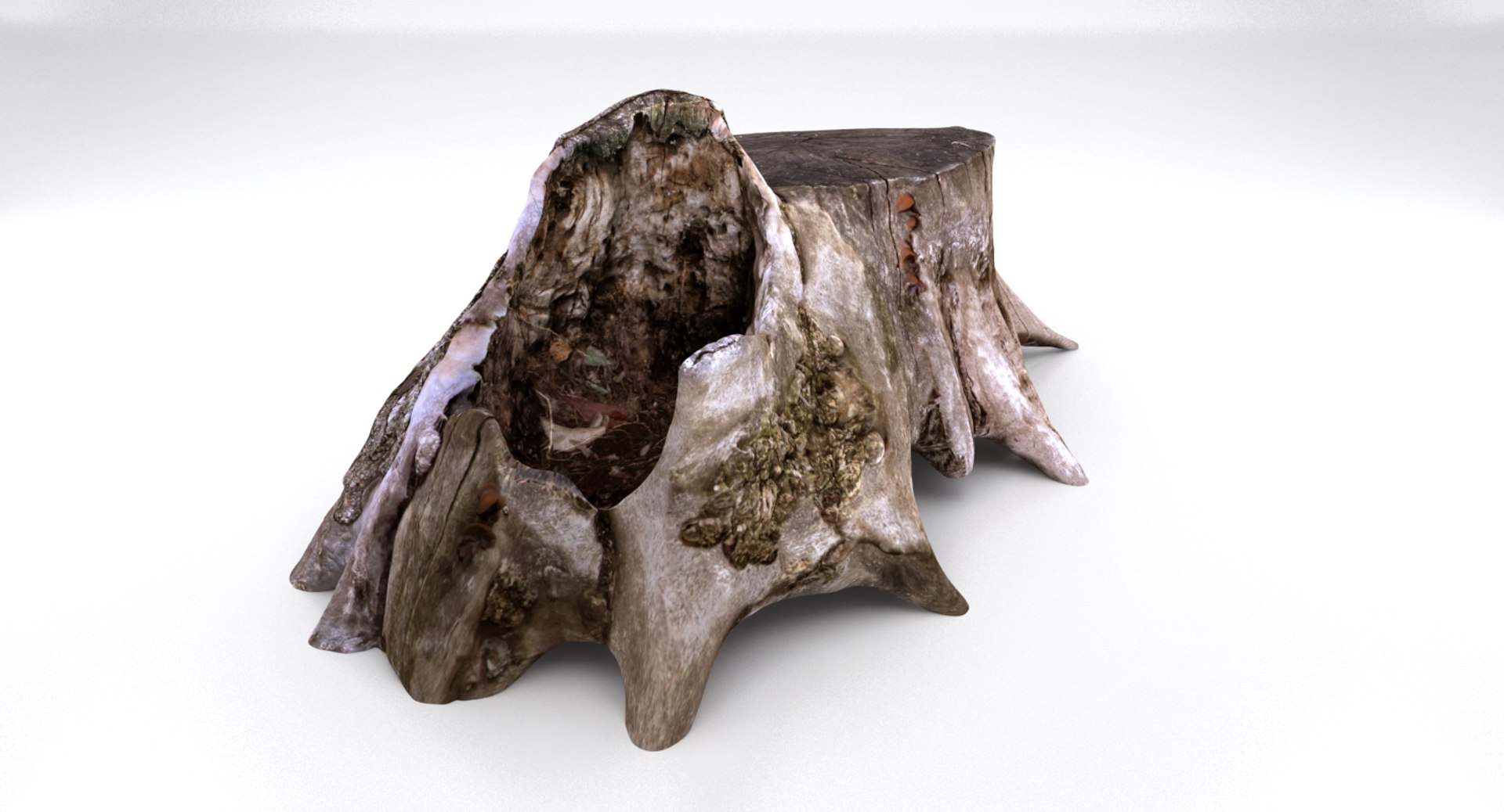 3d Model Tree Trunk 01