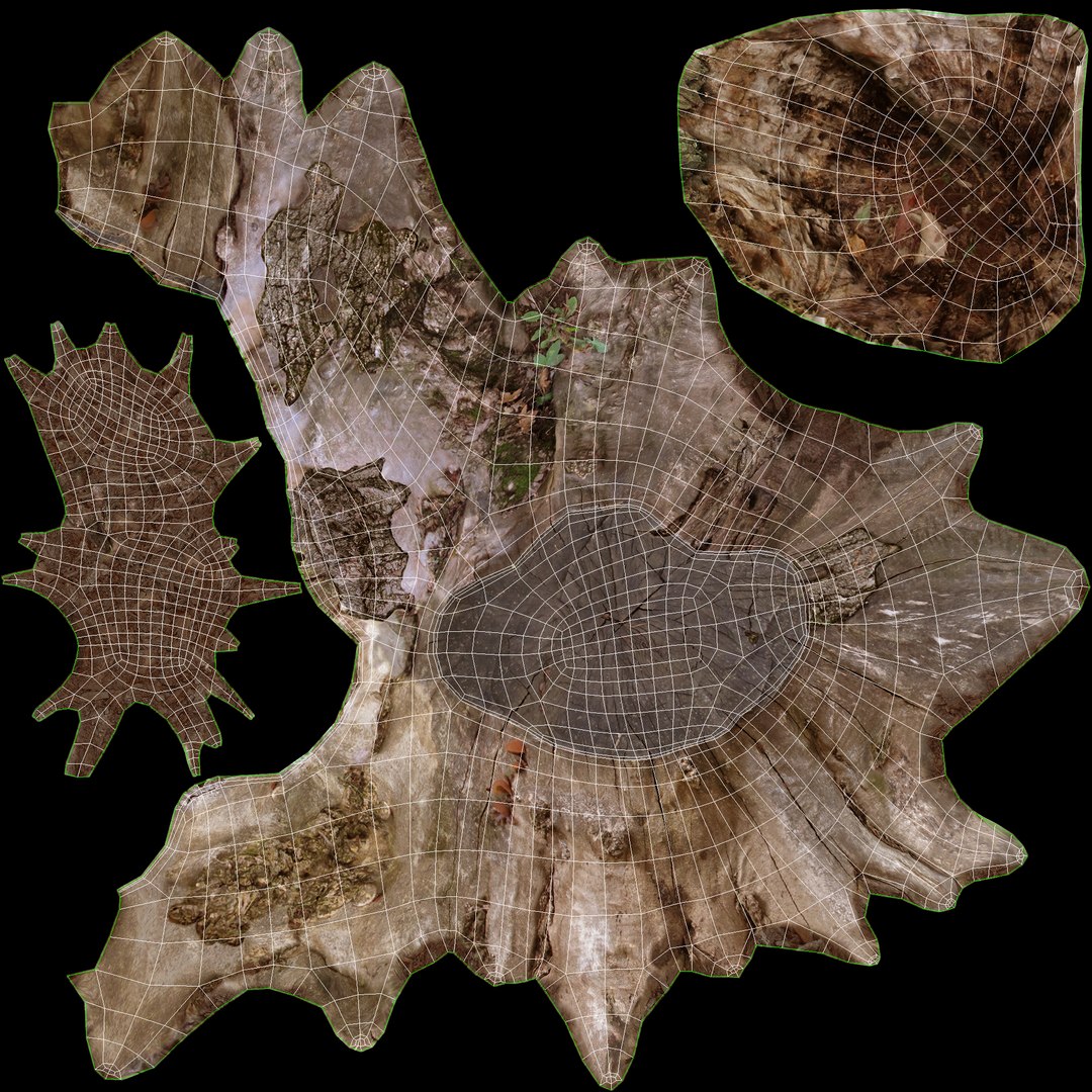 3d Model Tree Trunk 01