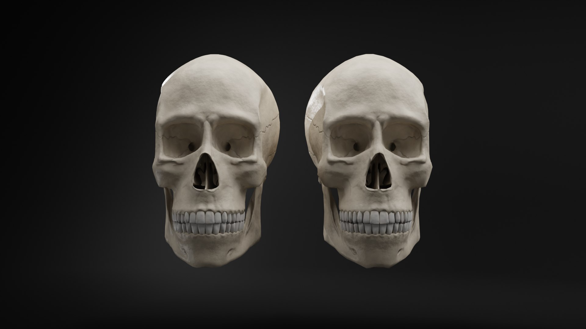3D Low-Poly Realistic Human Skull Model - TurboSquid 2315348