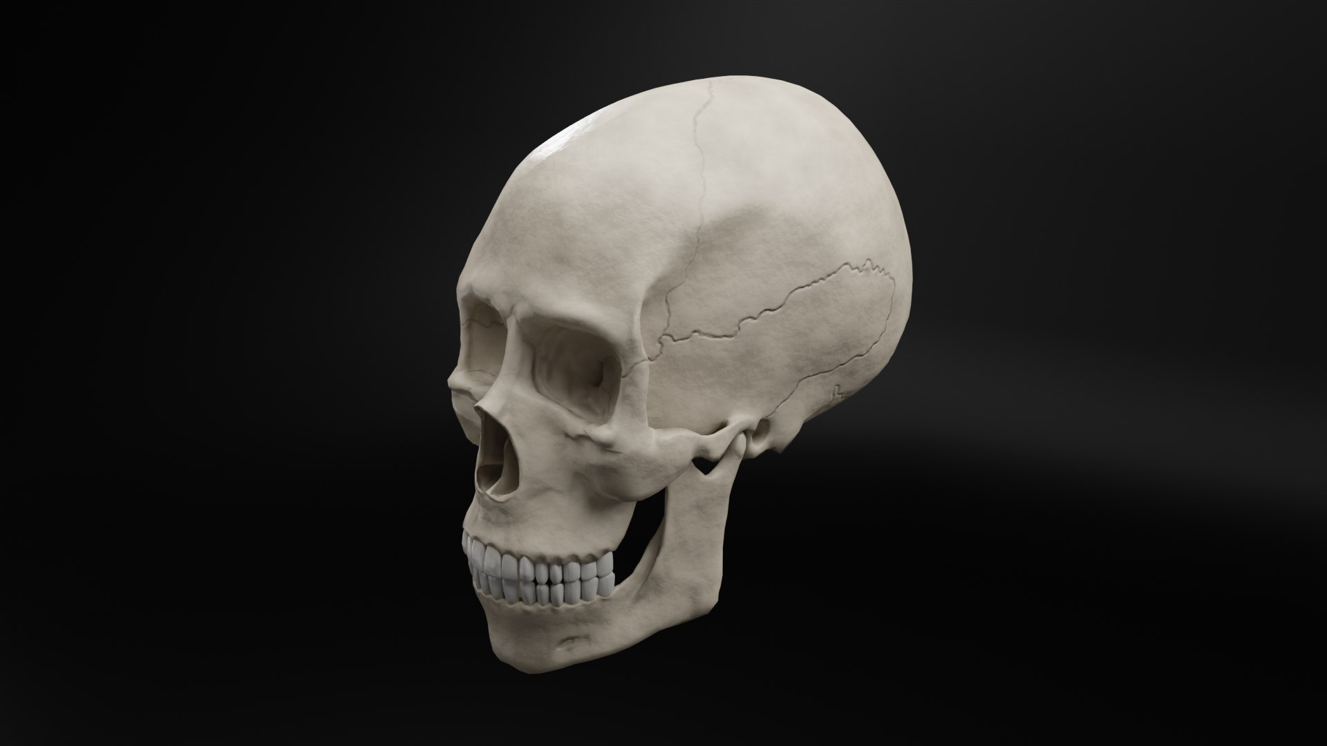 3D Low-Poly Realistic Human Skull Model - TurboSquid 2315348