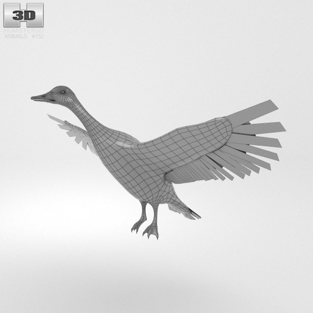 3d canada goose