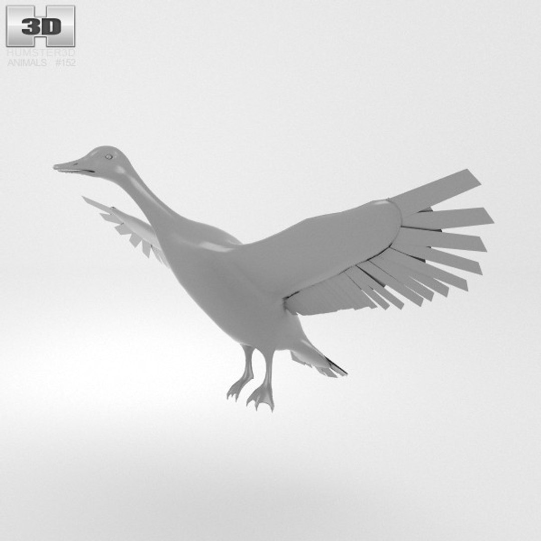 3d canada goose