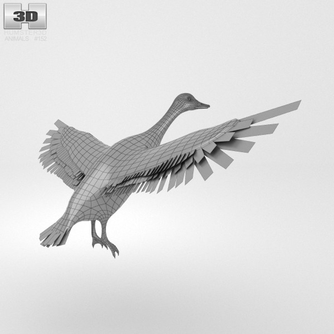 3d canada goose