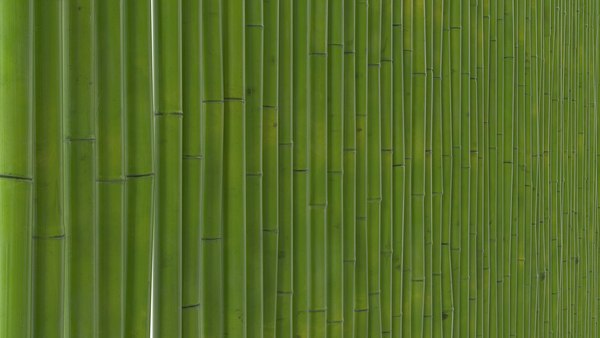 modelo 3d Panel de pared de bambú Verde - TurboSquid 1991749
