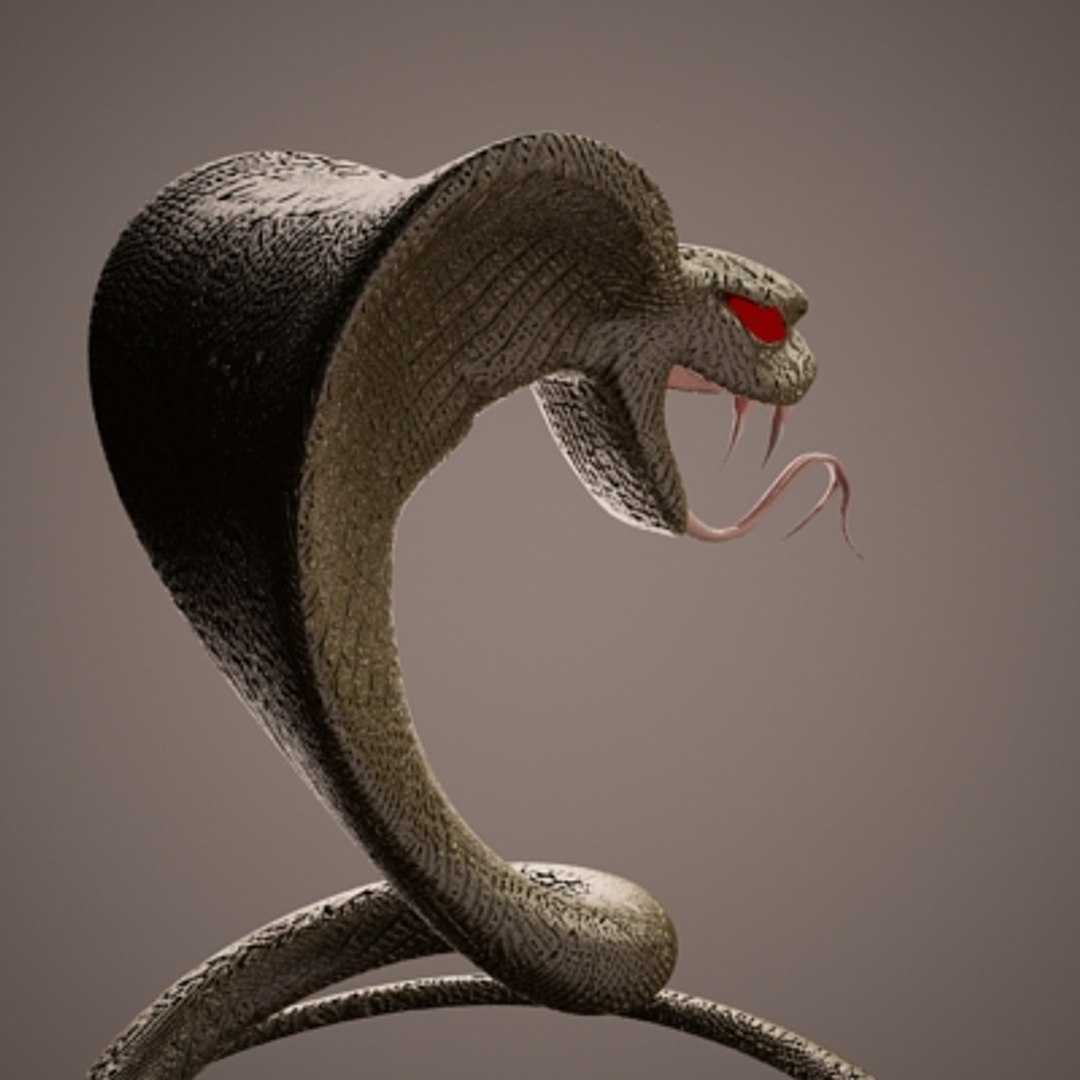 3d Snake King Cobra Model