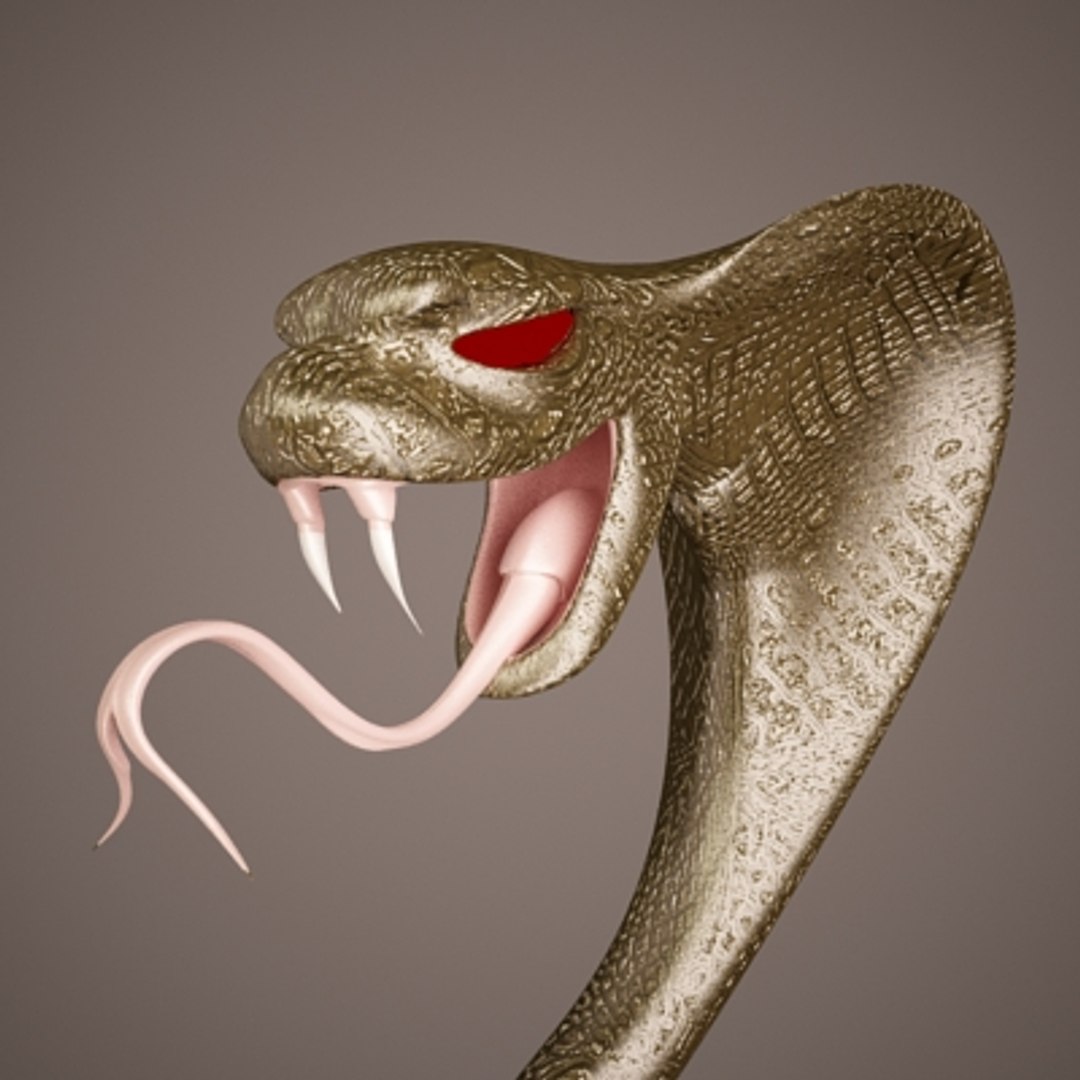 3d Snake King Cobra Model