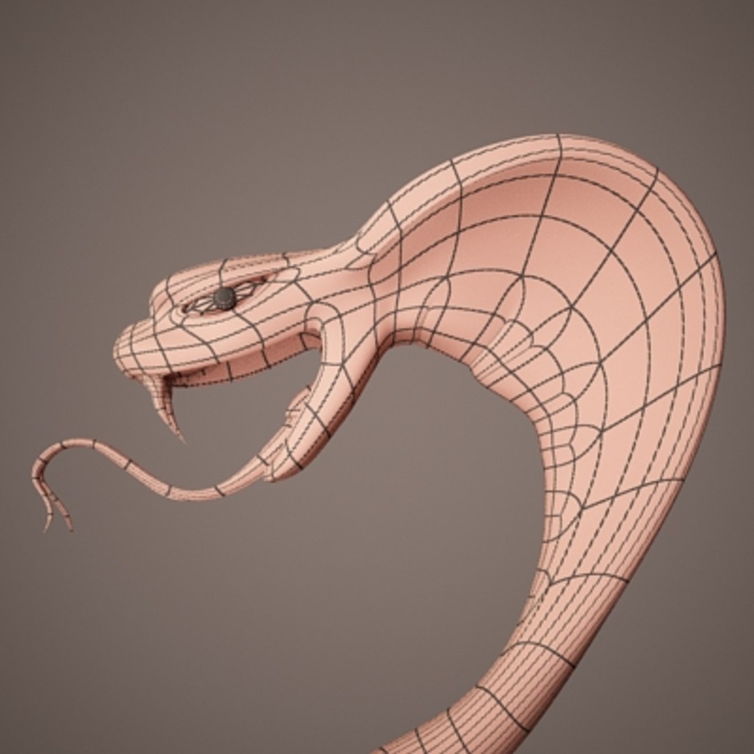 3d Snake King Cobra Model