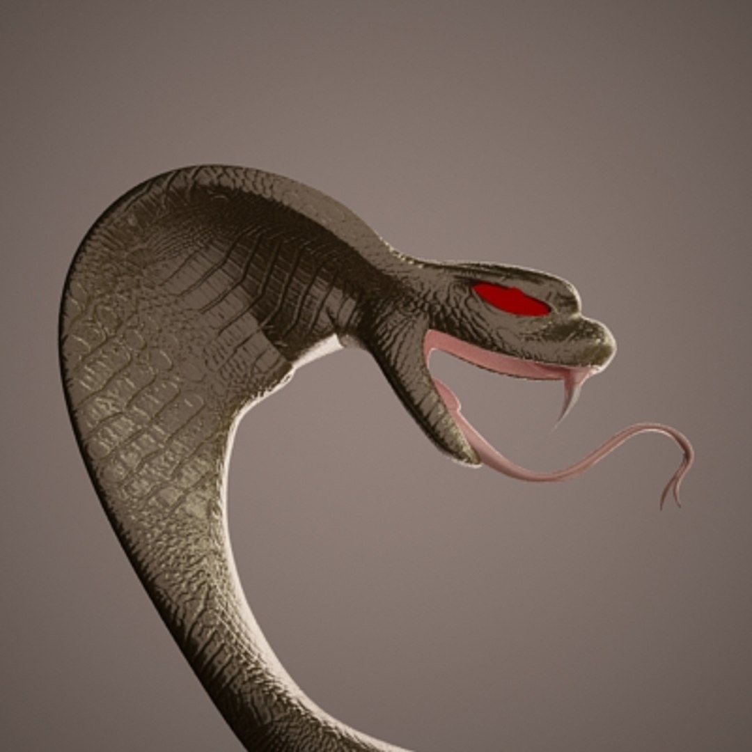 3d Snake King Cobra Model