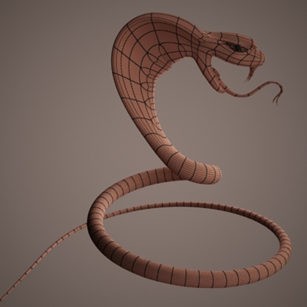 3d Snake King Cobra Model