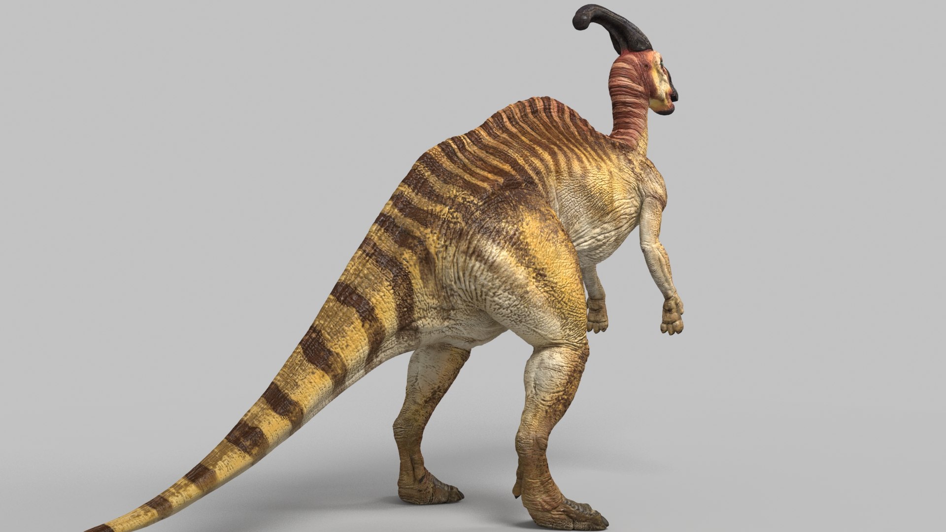 3D Parasaurolophus Model - TurboSquid 1209593