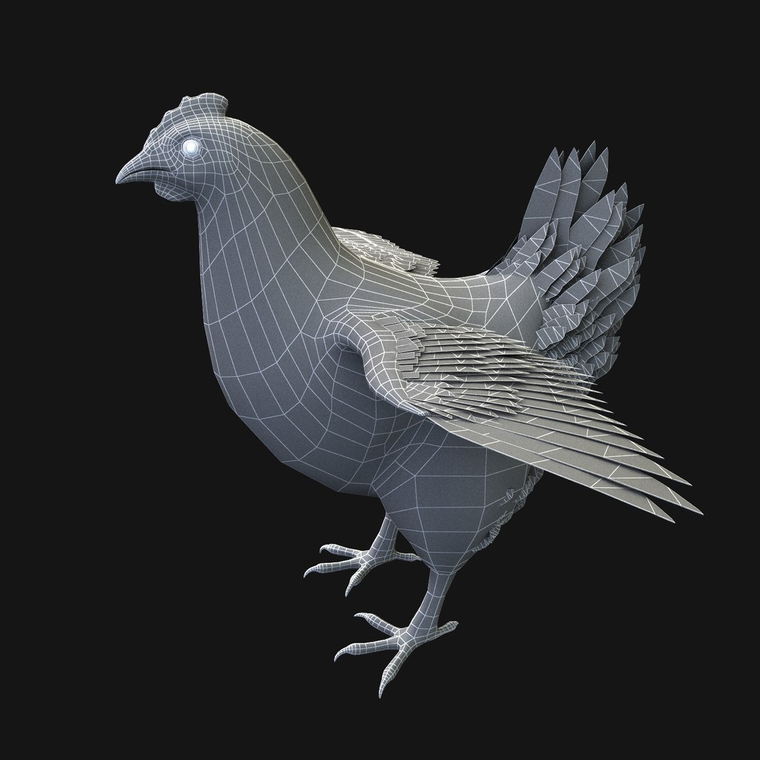Chicken Rig Animation 3d Model
