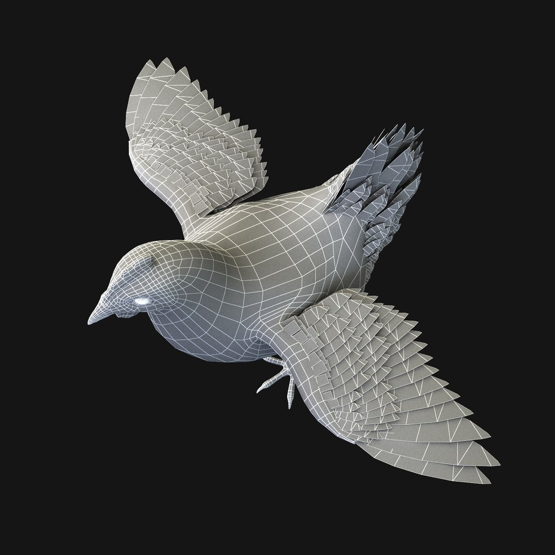 Chicken Rig Animation 3d Model