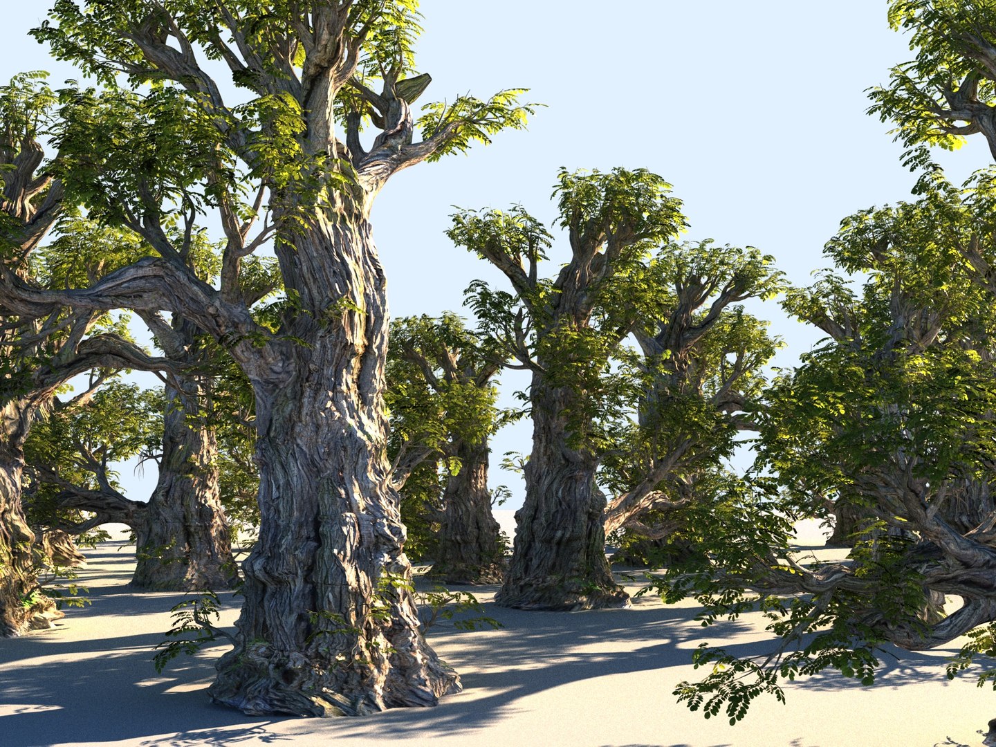 3D Tree Scanned Ready - TurboSquid 1284574
