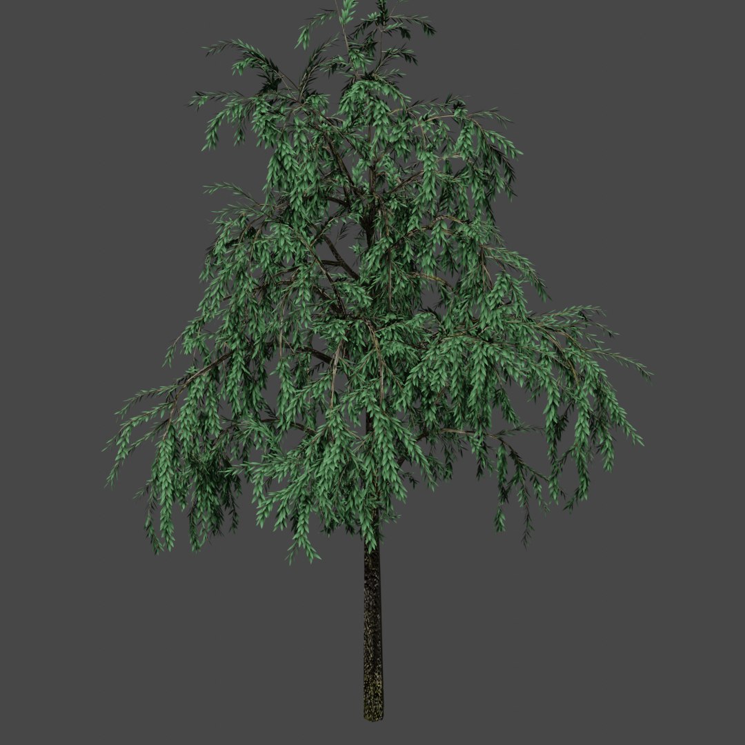 3D Tree Pbr - TurboSquid 1528831