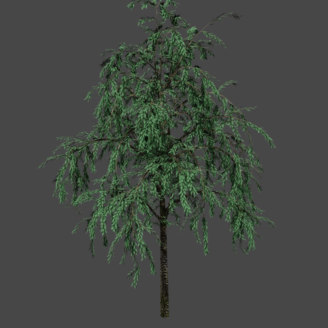 3D Tree Pbr - TurboSquid 1528831