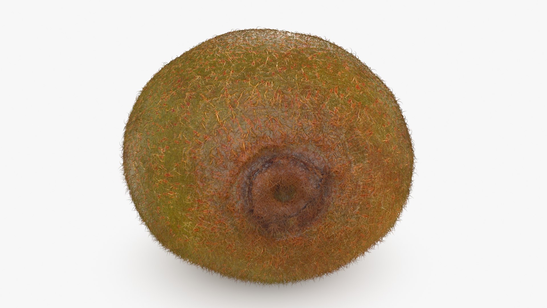 Kiwi 02 3D Model - TurboSquid 2263137