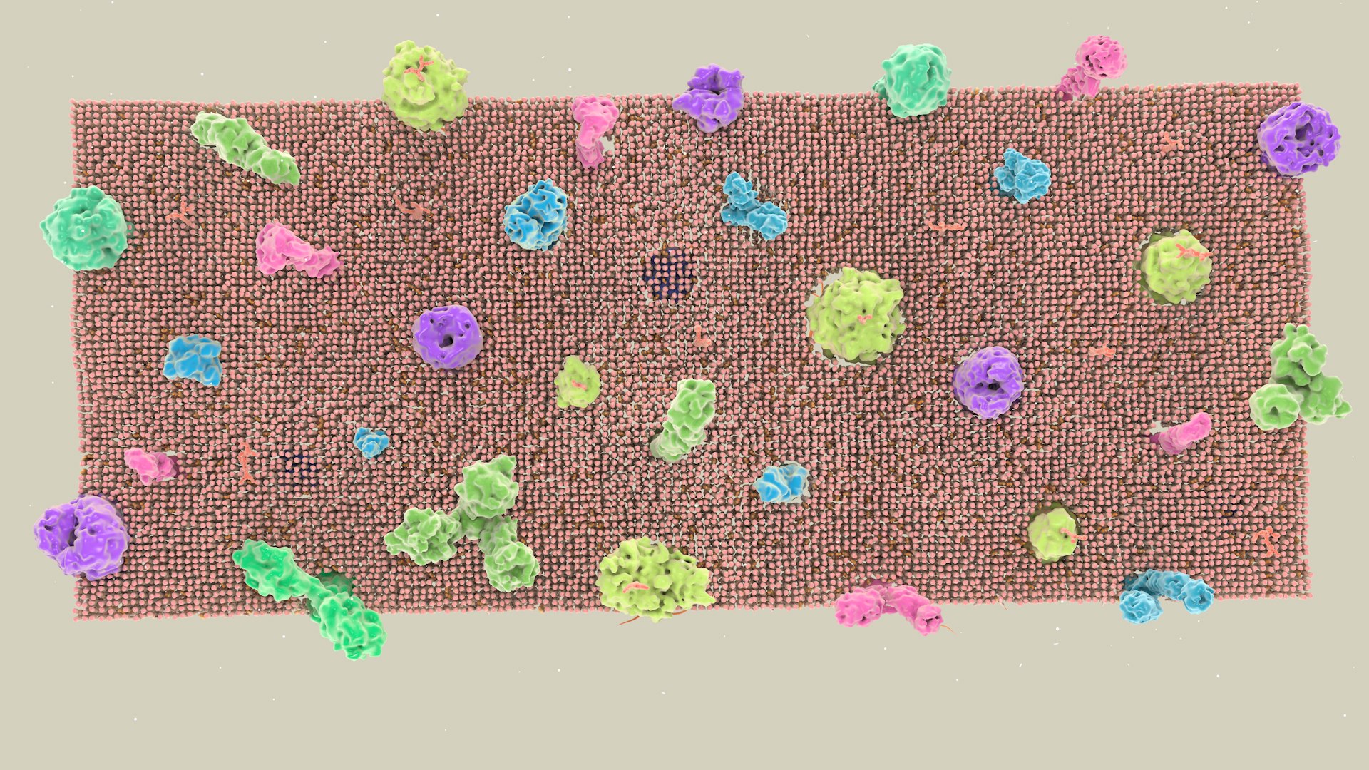 3D Cell Membrane - TurboSquid 2104928