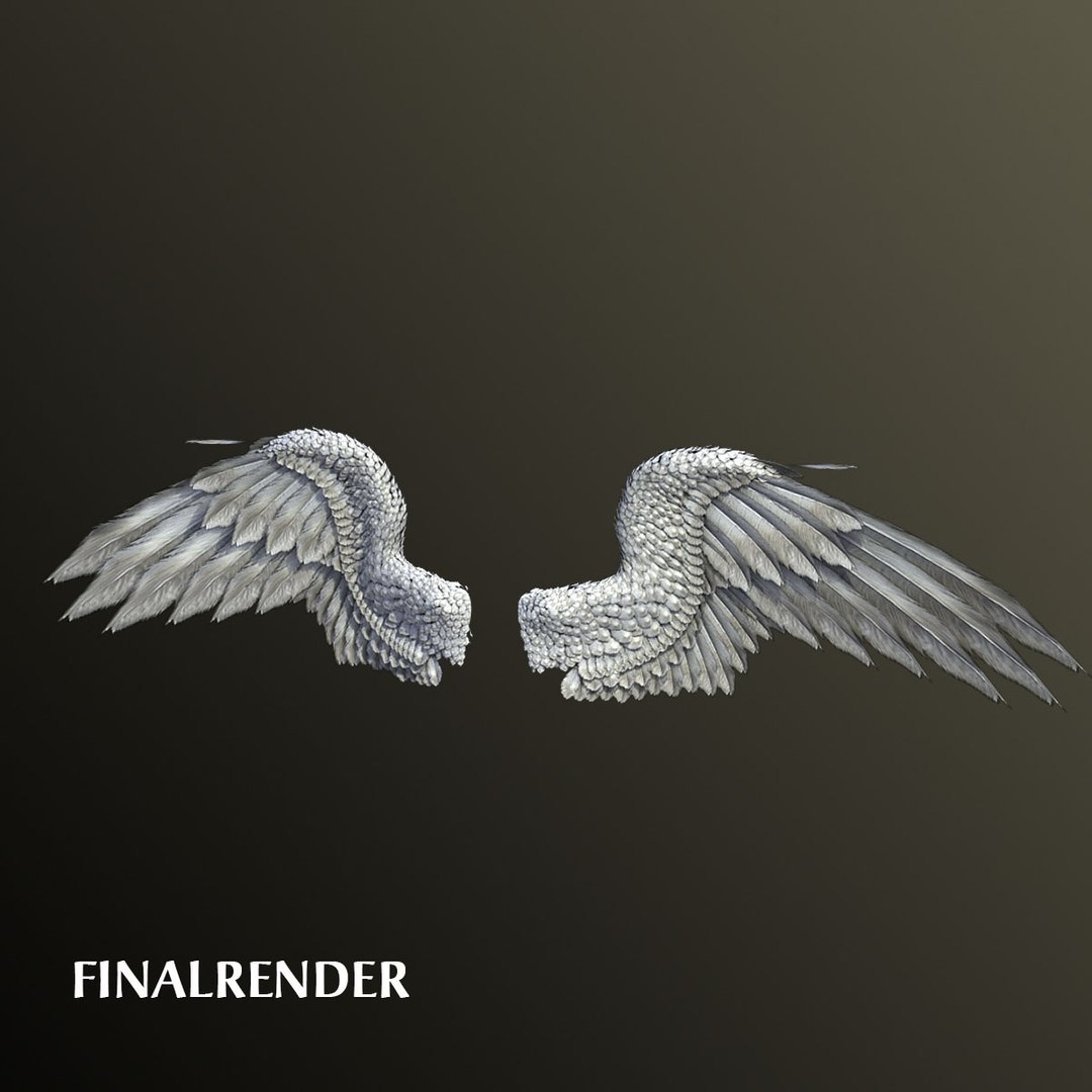 3d Model Bird Angel Wings