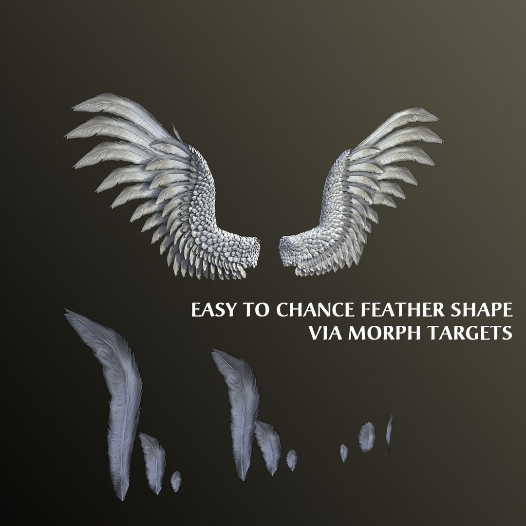 3d Model Bird Angel Wings