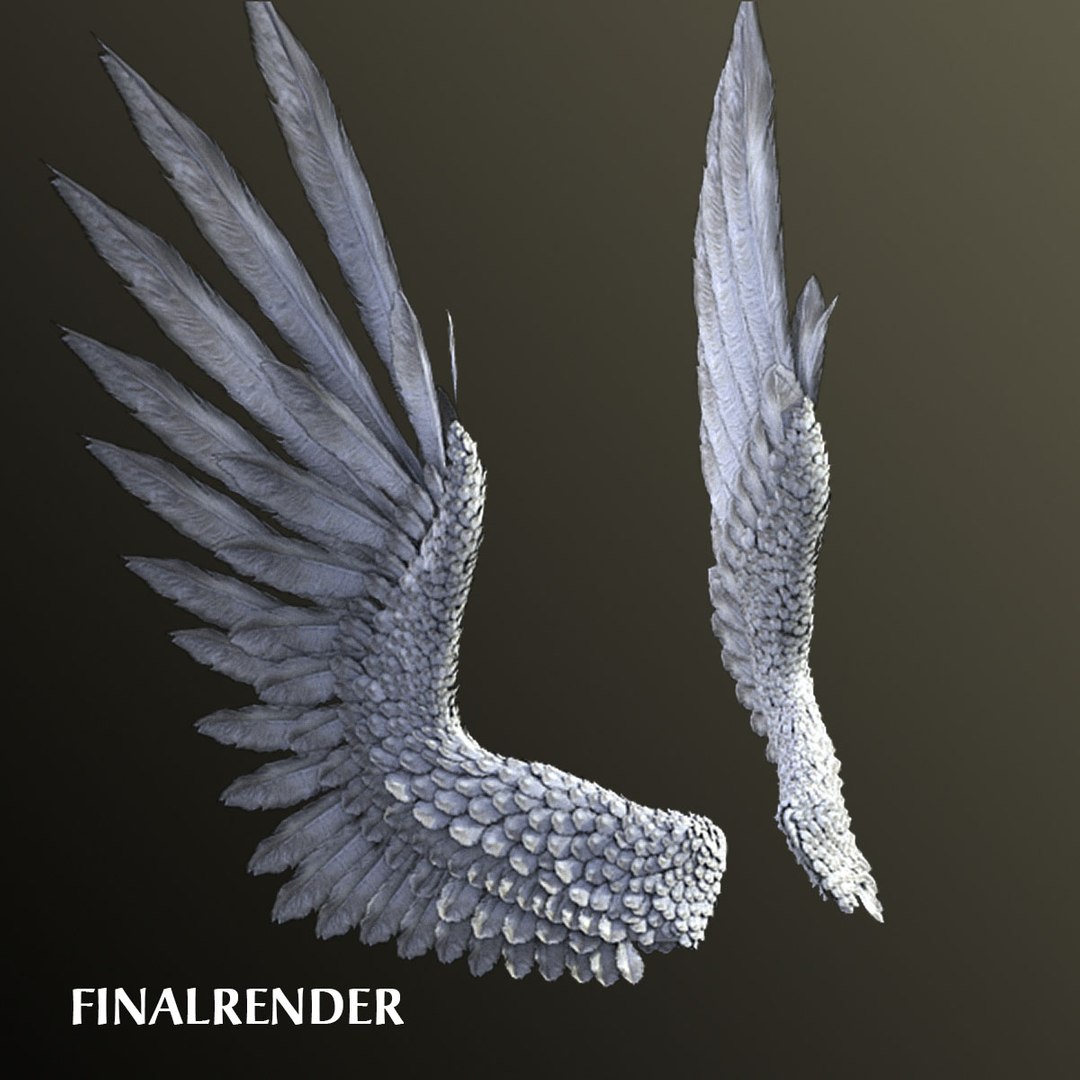 3d Model Bird Angel Wings