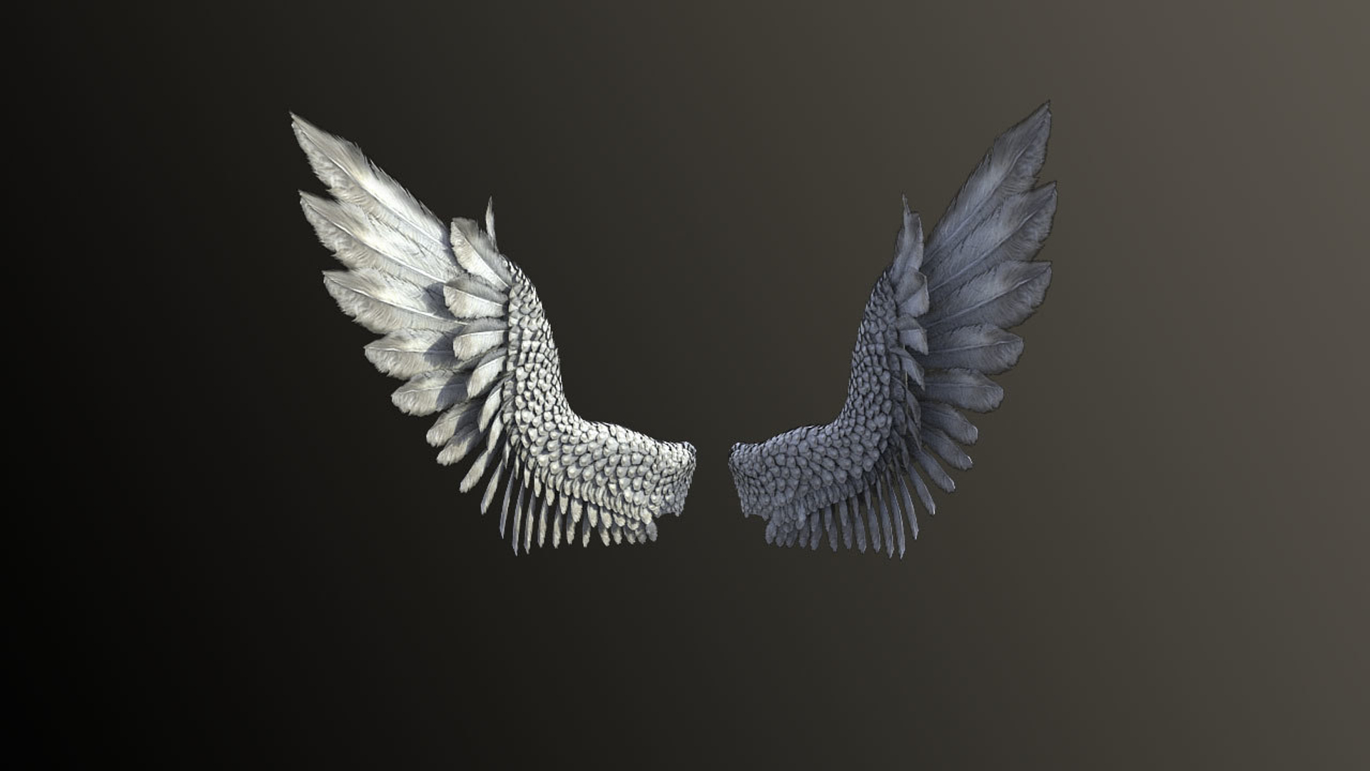 3d Model Bird Angel Wings
