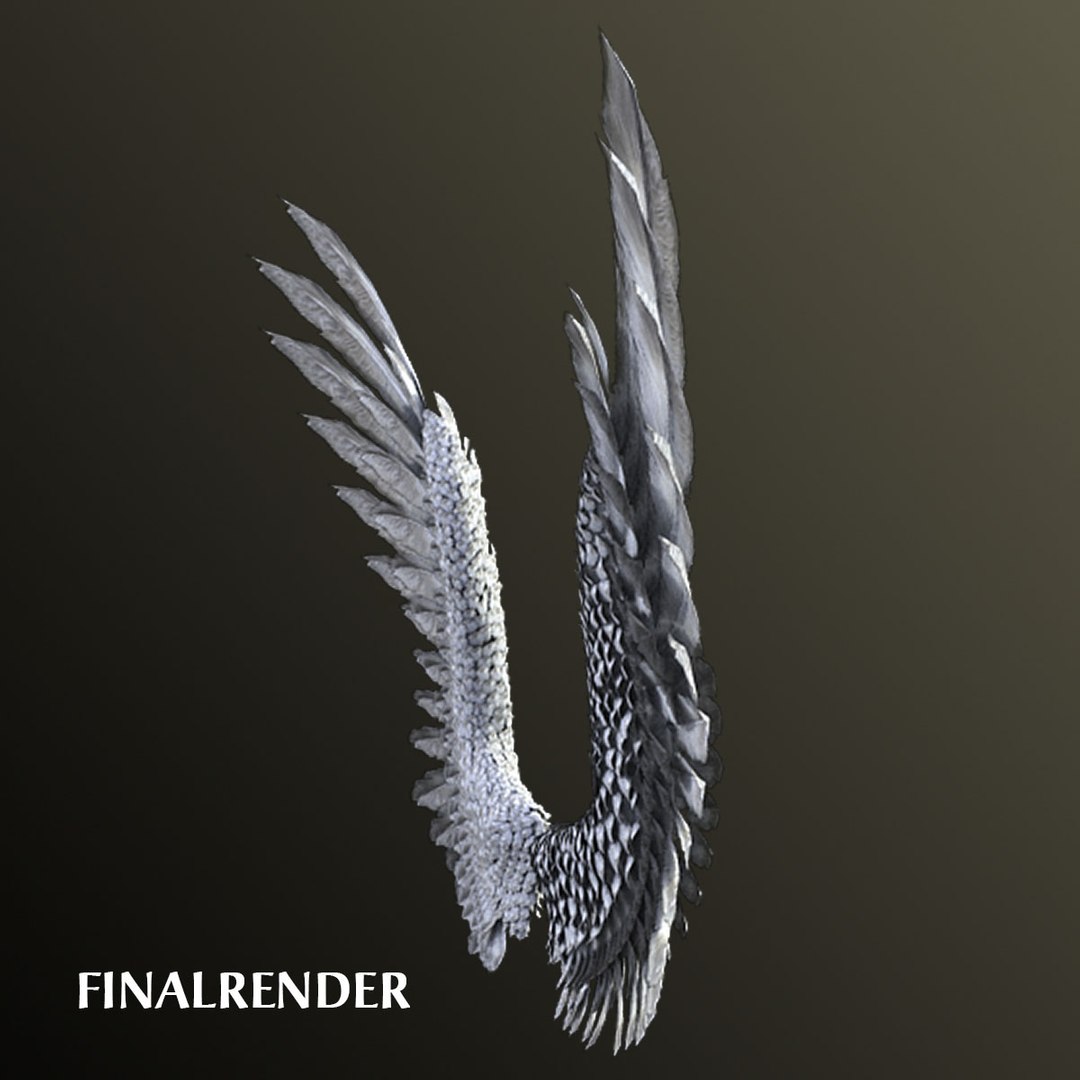 3d model bird angel wings