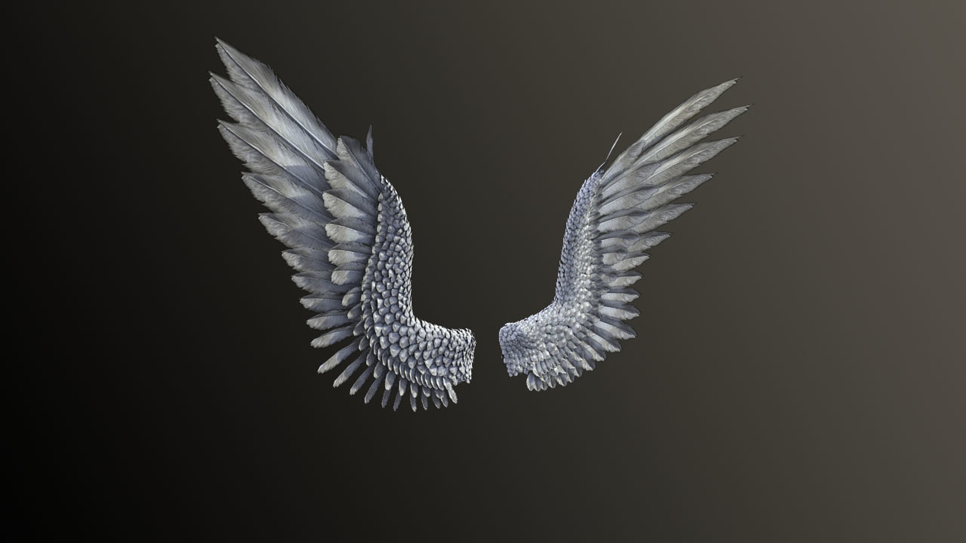 3d Model Bird Angel Wings