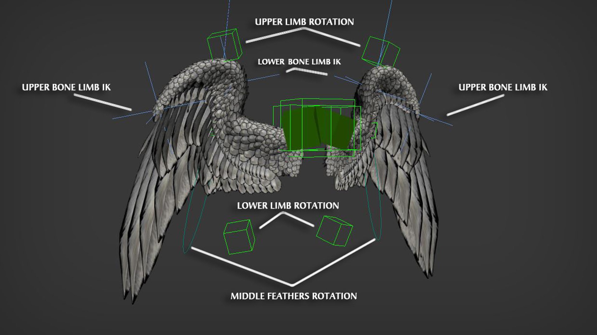 3d Model Bird Angel Wings