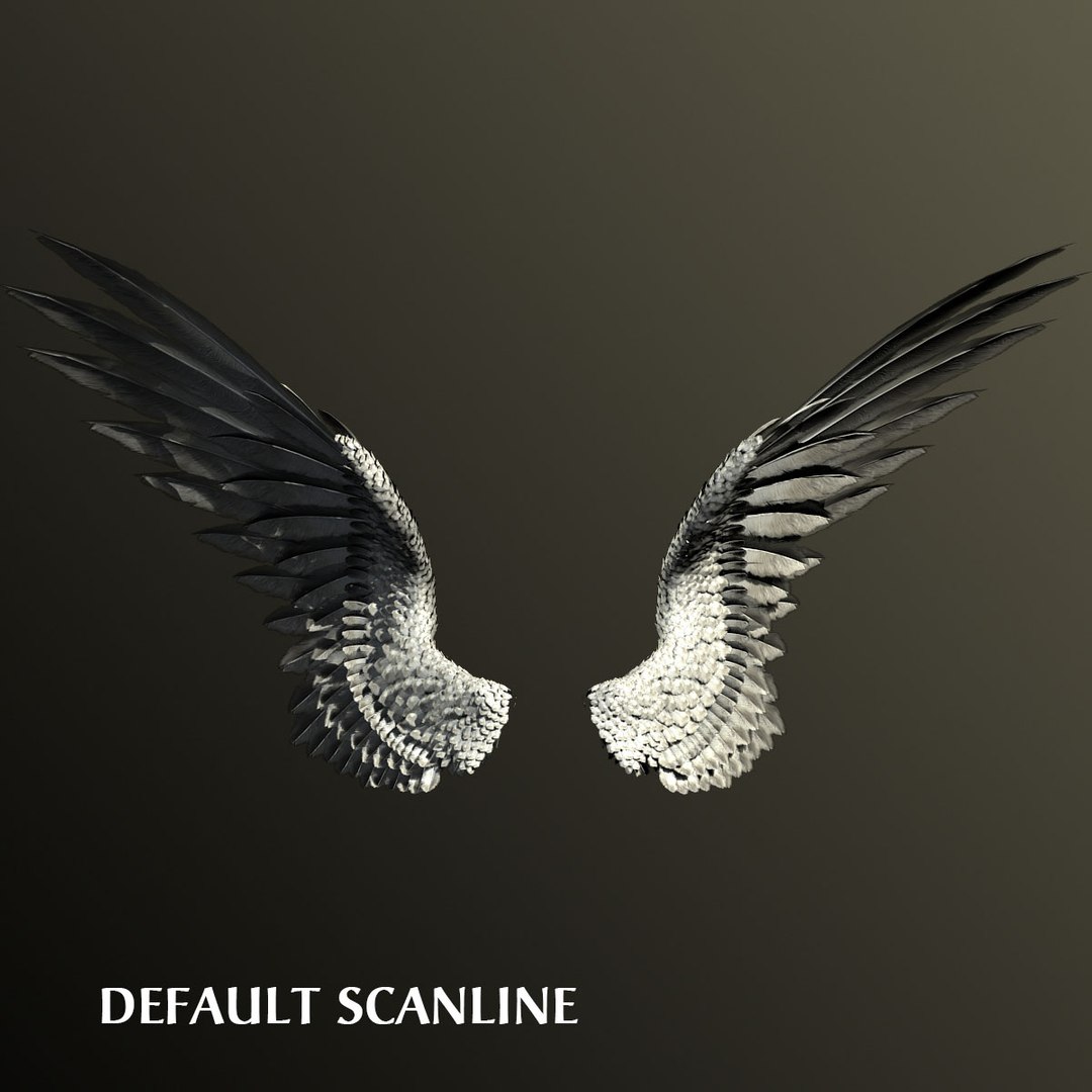 3d model bird angel wings