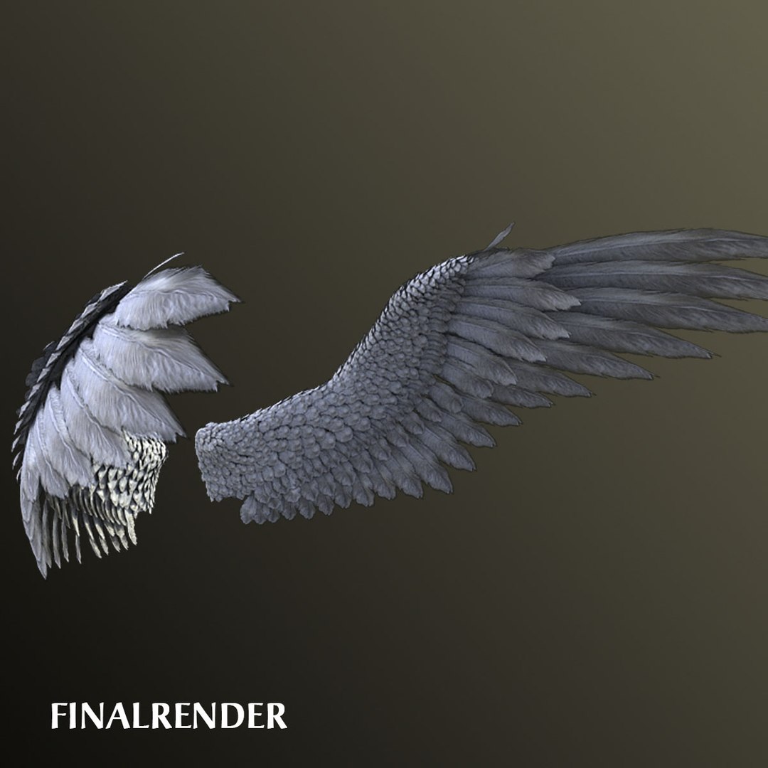 3d Model Bird Angel Wings