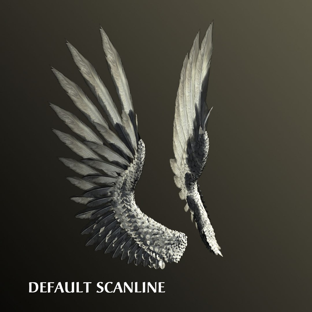 3d model bird angel wings