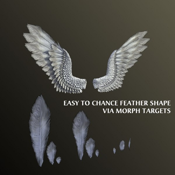 3d model bird angel wings