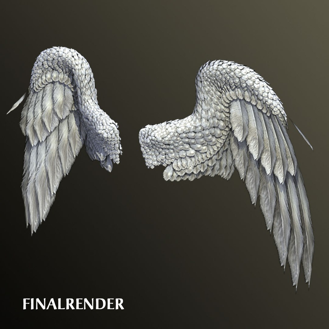 3d model bird angel wings