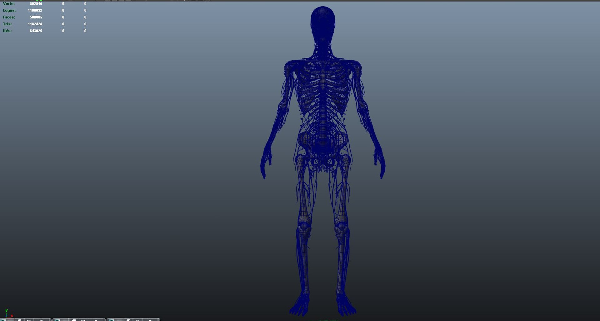 Skeleton Nerves Model - TurboSquid 1218743