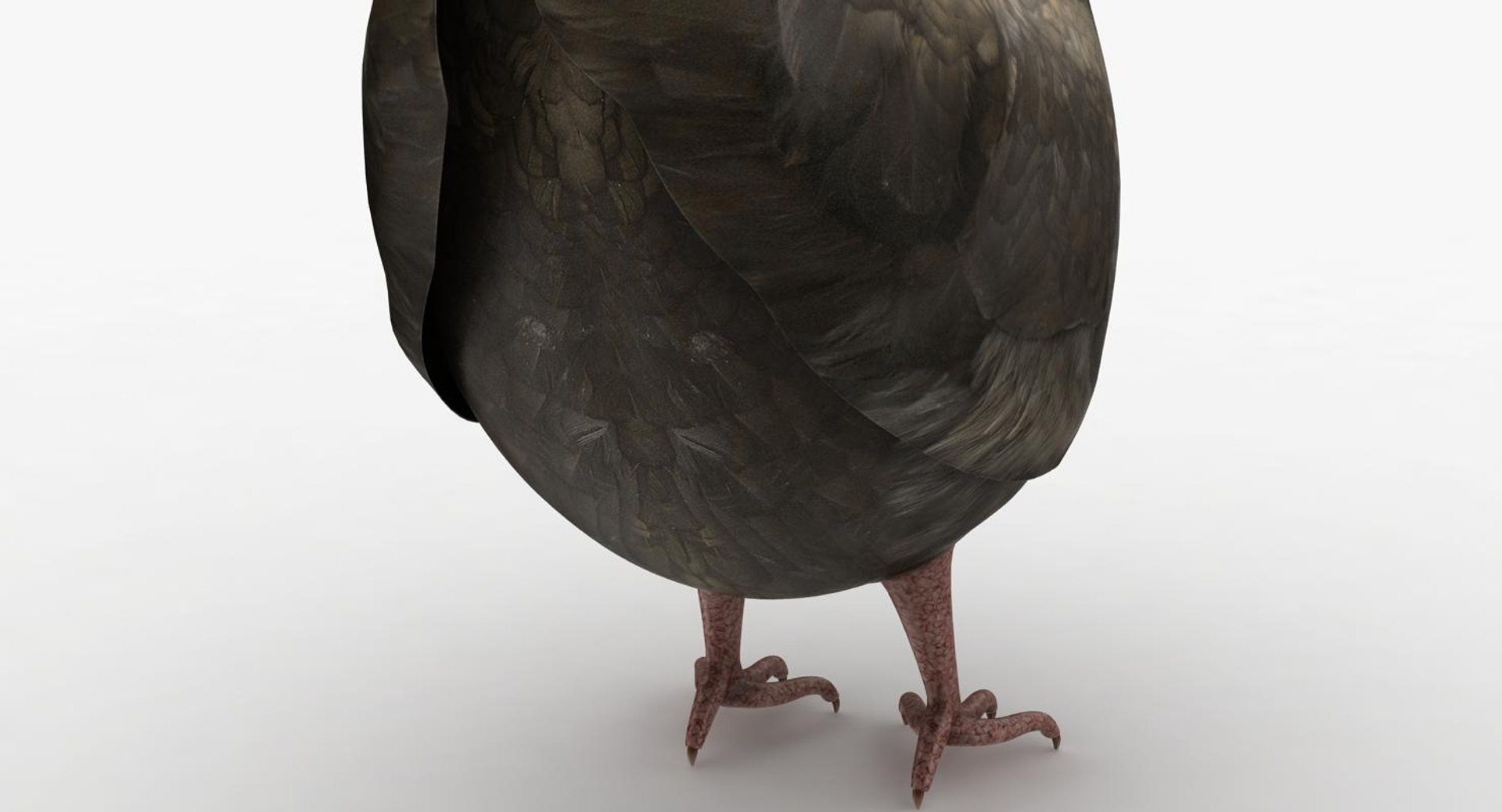 3D model realistic hen brown - TurboSquid 1151964
